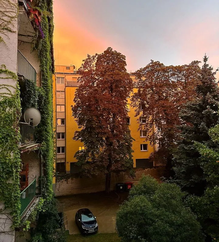 Where to Stay in Vienna: Best Areas & Hotels for Tourists