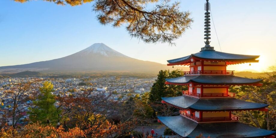 Best Time to Visit Tokyo 🇯🇵: Your Guide to Visit Japan Capital